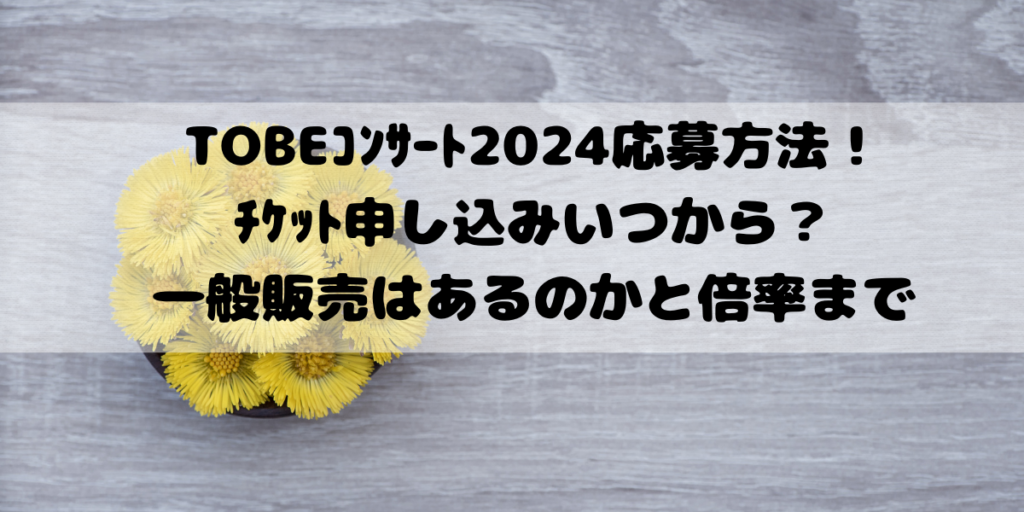 TOBEｺﾝｻｰﾄ2024応募方法！ﾁｹｯﾄ申し込みいつから？一般販売はあるのかと倍率まで